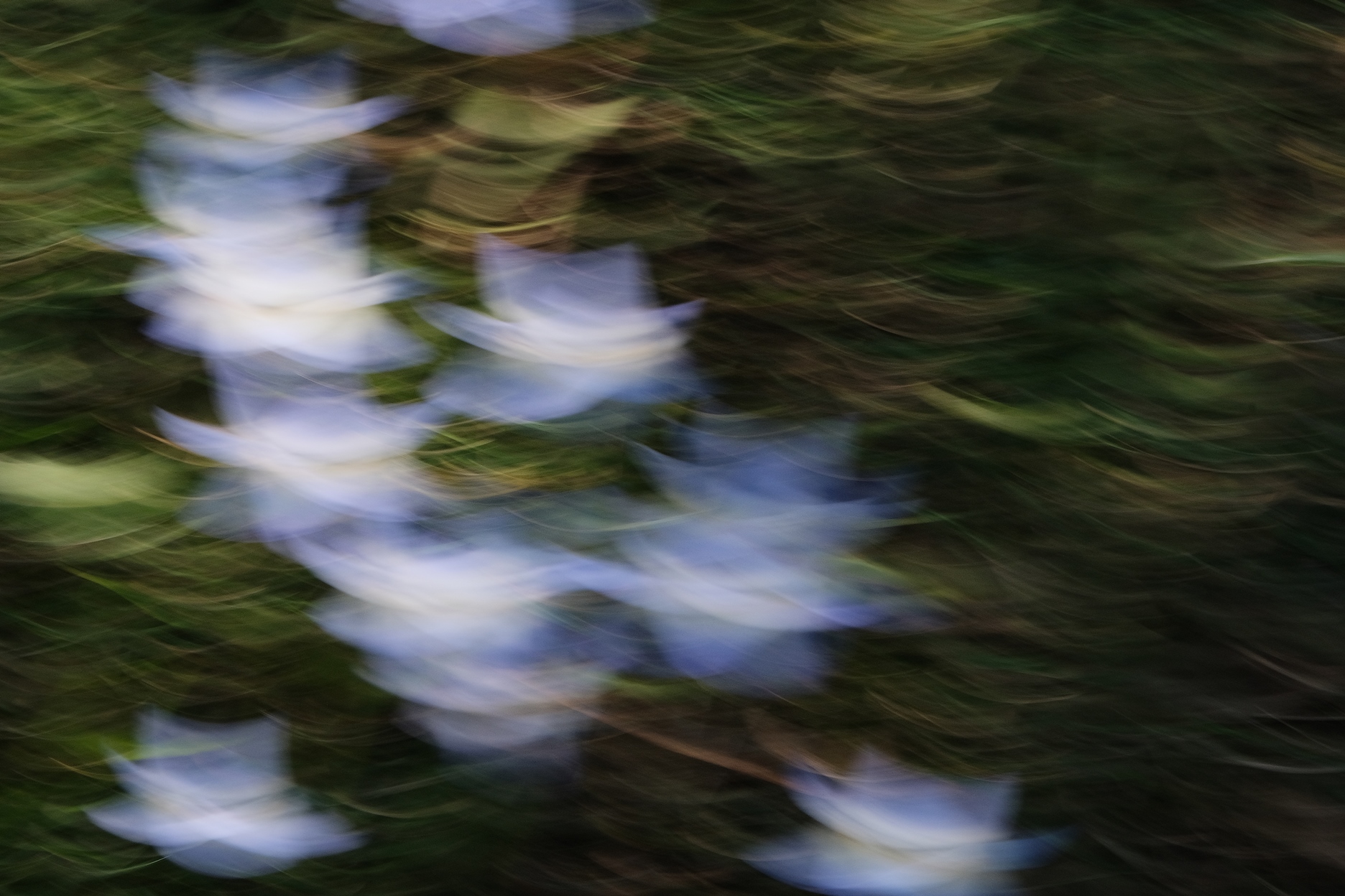 Michael Raabe Fotografie – Michael Raabe Fotografie